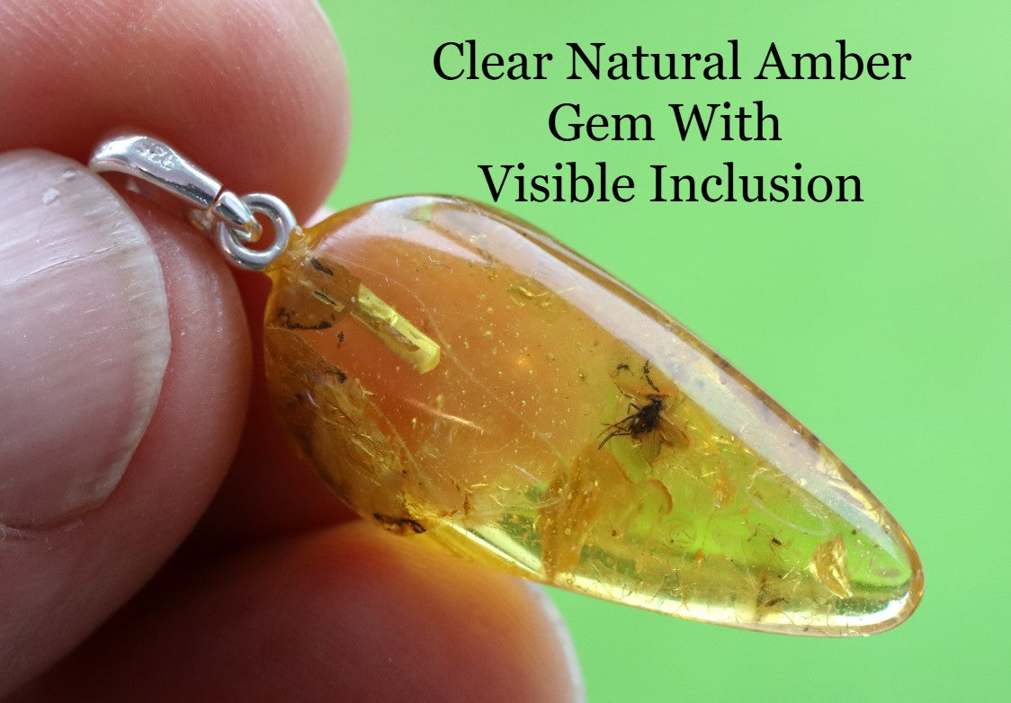Amber Inclusions | Insect Fossils in Amber from Amber SOS - Amber SOS