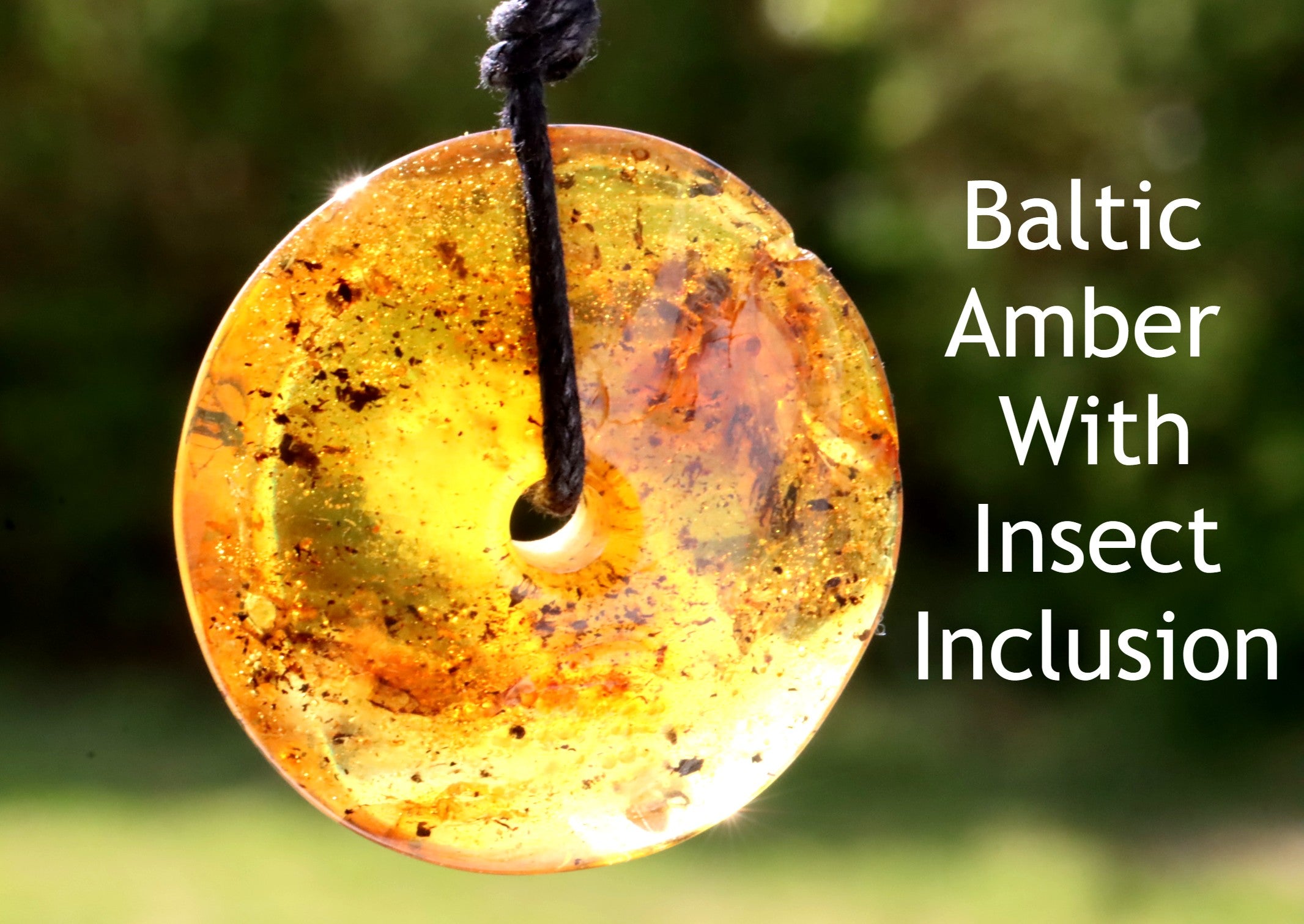 Fossil Insect Inclusion Amulet | Baltic Amber Amulet - Amber SOS