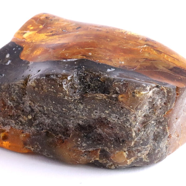 Massive 40 Million year old Baltic Amber Collector piece - Amber SOS